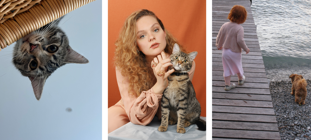 Pets who travel, hotel scenes, and new baubles! – Sheila Westera ...