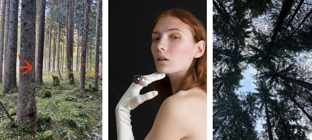 November, and finding Positivity in a Complex World – Sheila Westera ...